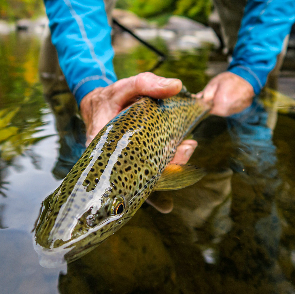 Get The Most Out Of Your Next Guided Fly Fishing Trip - Fulling Mill Blog