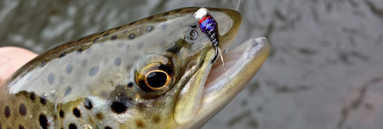 How To Tie The Purple Nasty Euro Nymph - Fulling Mill Blog