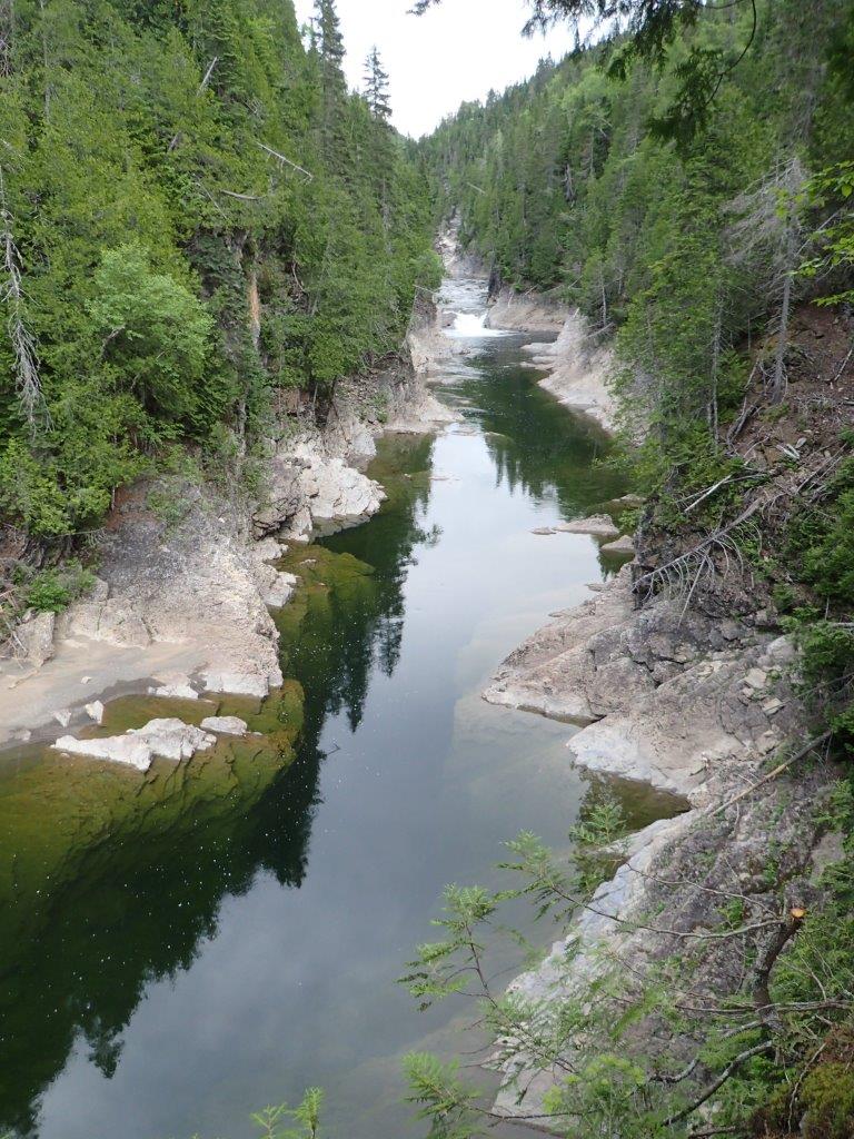 Gaspe Salmon - Fulling Mill Blog