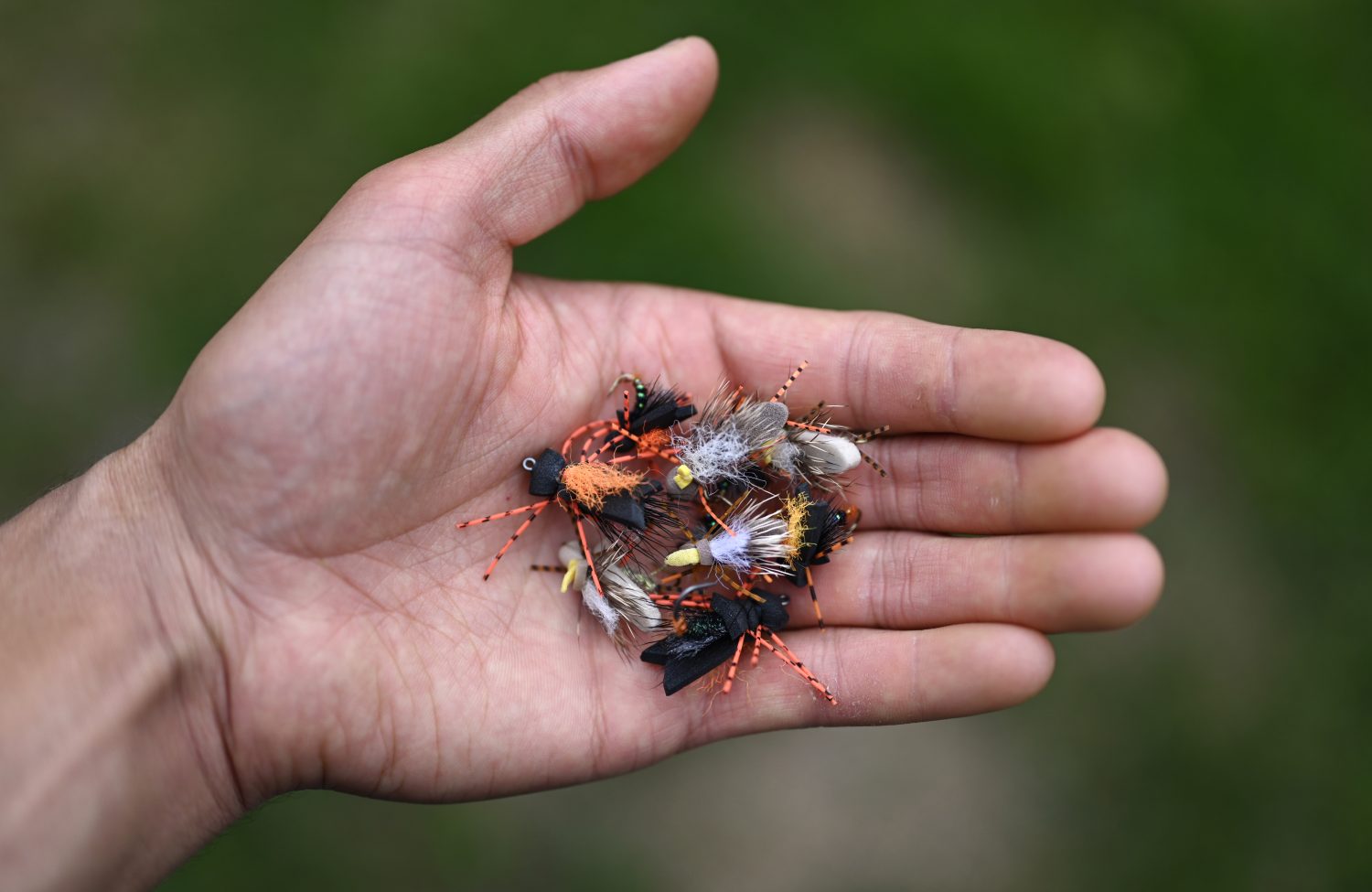 Tips for Targeting Trout in the Fall - Fulling Mill Blog