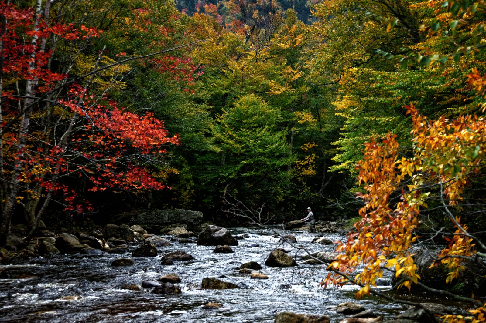 Tips for Targeting Trout in the Fall - Fulling Mill Blog