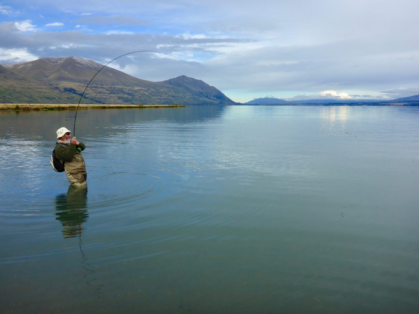 Strip Striking Trout - Fulling Mill Blog