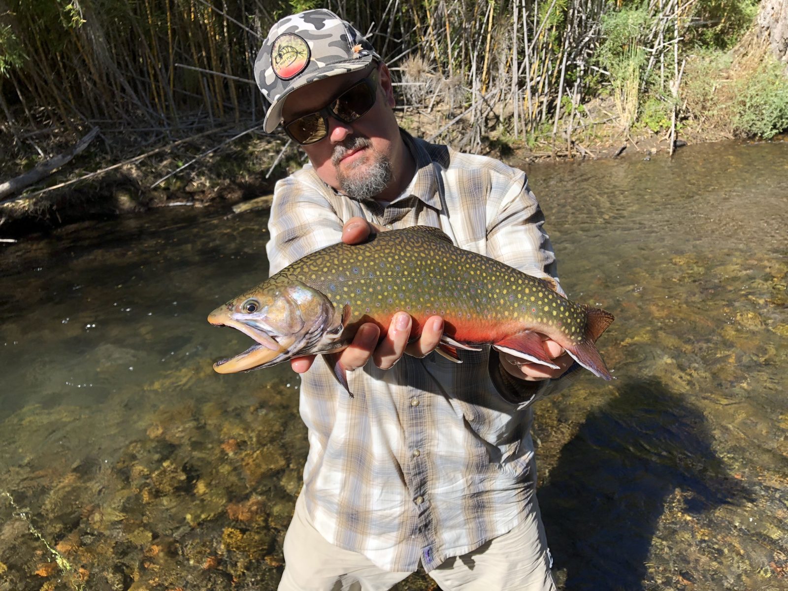 Fly Fish Food Q&A - Fulling Mill Blog