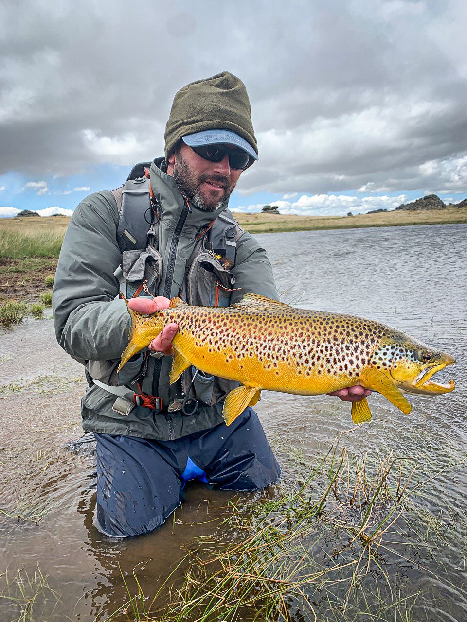 New Zealand Stillwaters - Tactics and Tips - Fulling Mill Blog