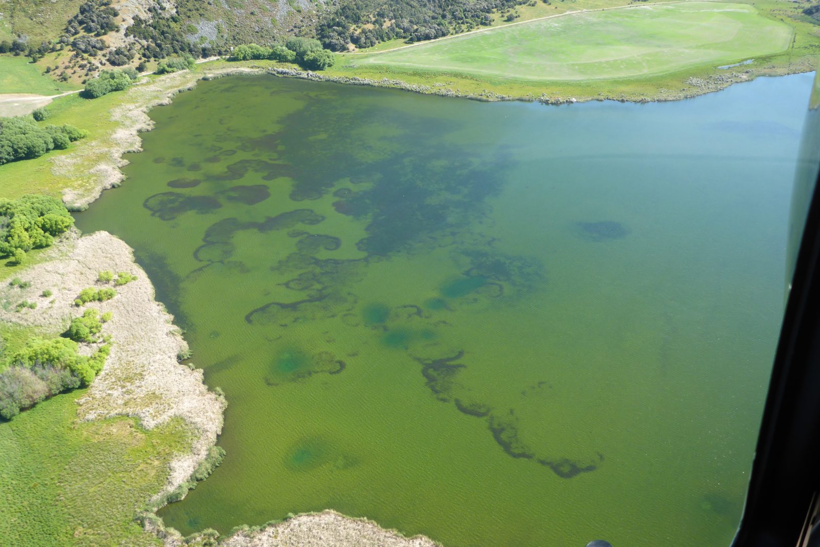 New Zealand Stillwaters - Tactics and Tips - Fulling Mill Blog