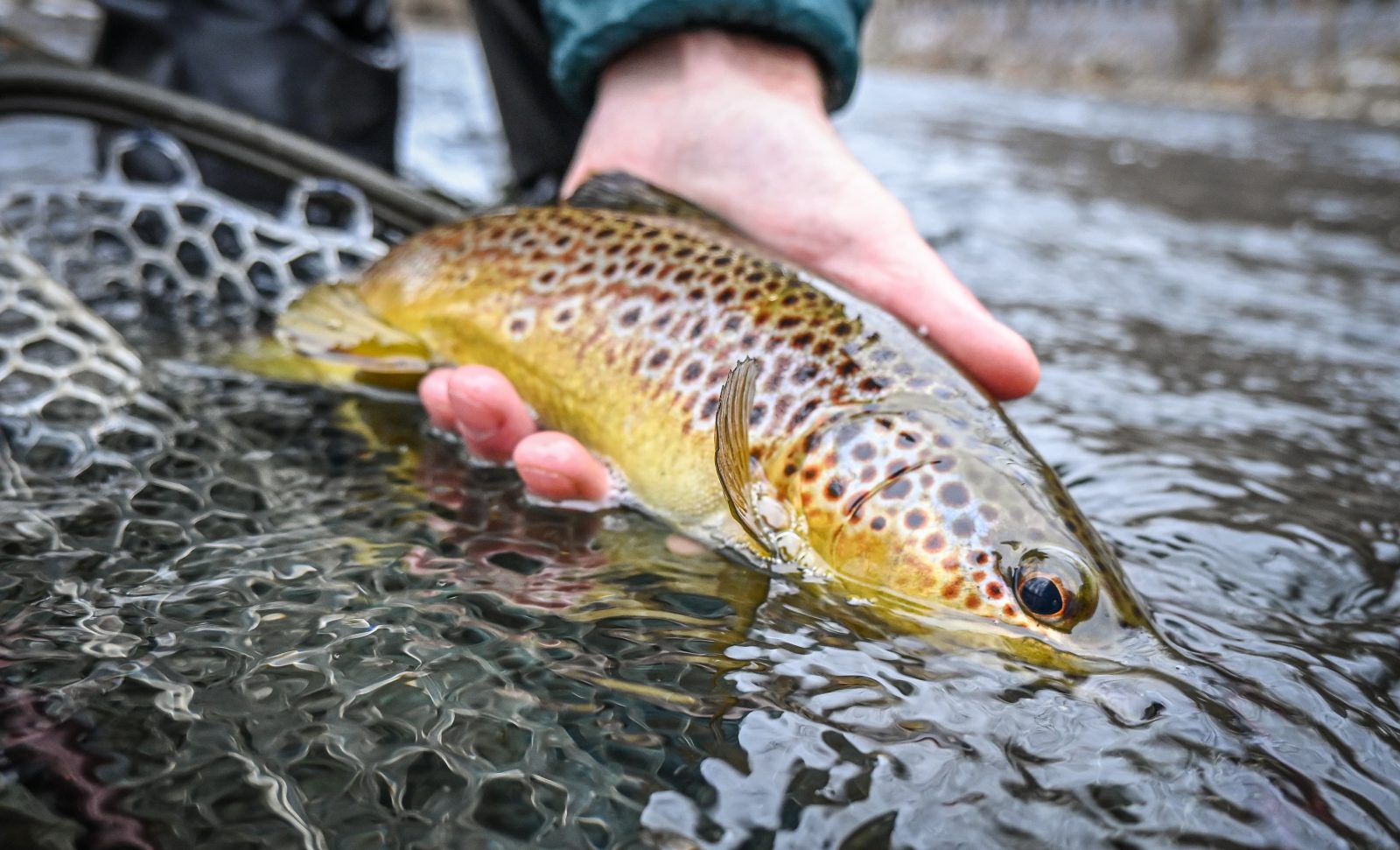 6 New USA Jig Streamers for 2022 - Fulling Mill Blog