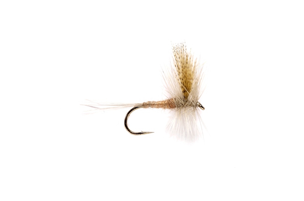 Top 7 Spring Eastern Dry Fly Patterns - Fulling Mill Blog