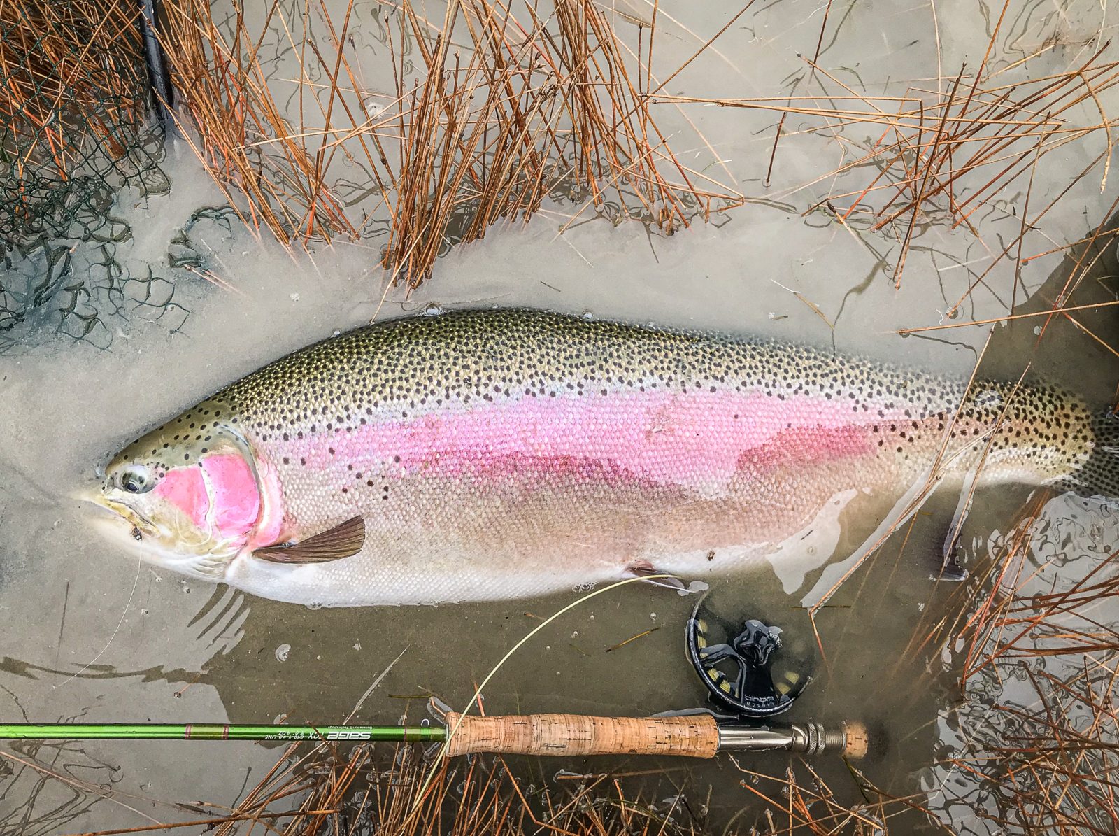 Ronan Creane's New Zealand Fly Patterns - Fulling Mill Blog