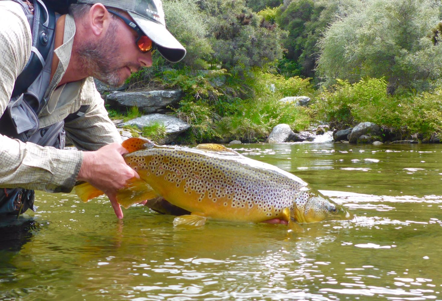 My Old Friend - The Story of an Old Trout & His River - Fulling Mill Blog