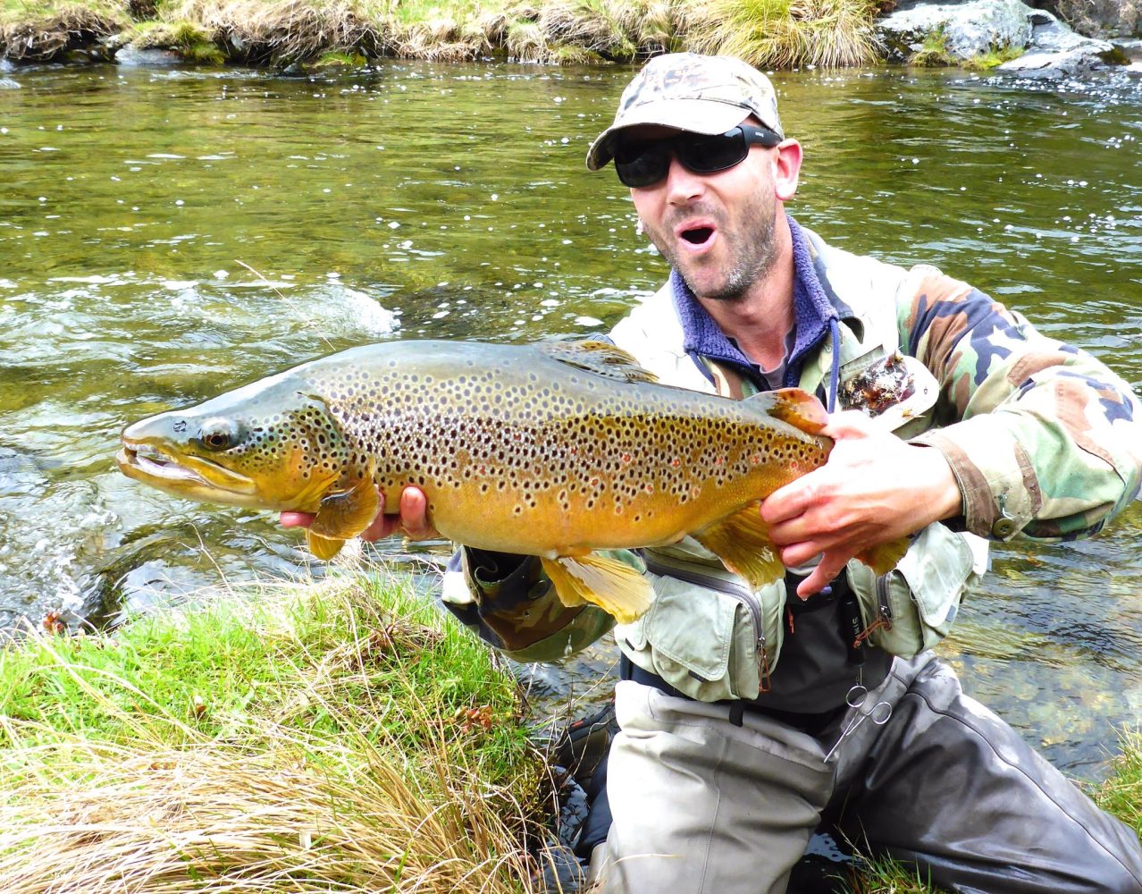 My Old Friend - The Story of an Old Trout & His River - Fulling Mill Blog