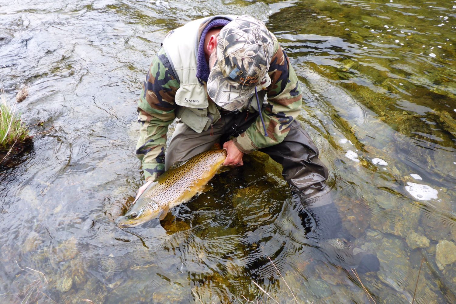 My Old Friend - The Story of an Old Trout & His River - Fulling Mill Blog