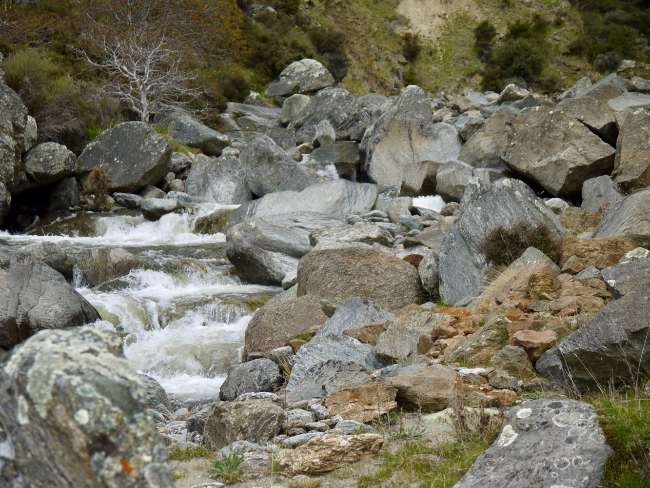 My Old Friend - The Story of an Old Trout & His River - Fulling Mill Blog
