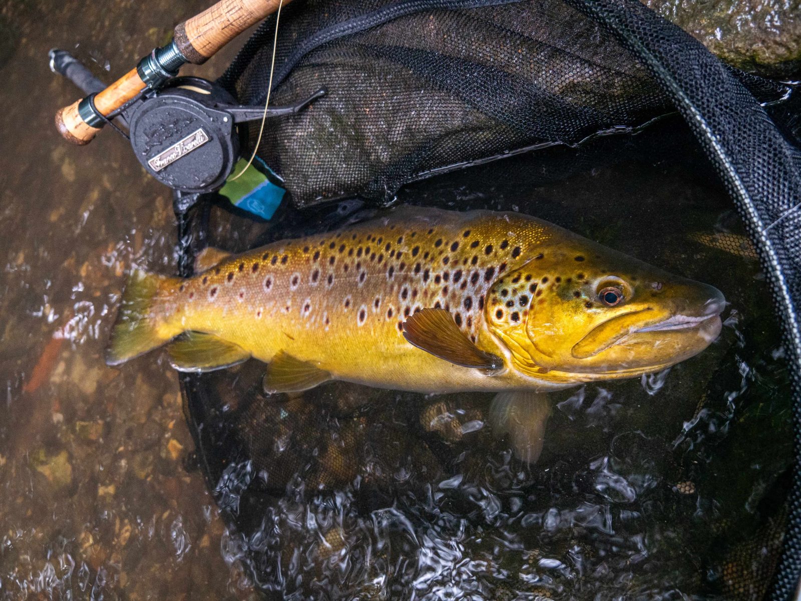 Tips from Competition Fishing for Pleasure Anglers - Fulling Mill Blog