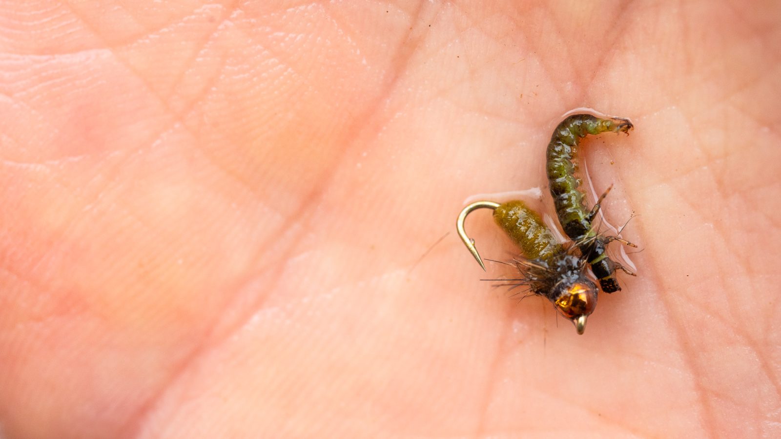Top 10 New Nymphs for 2025 from Fulling Mill USA - Fulling Mill Blog