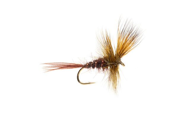 Top 8 New Dry Flies for 2025 from Fulling Mill (Outside of US ...