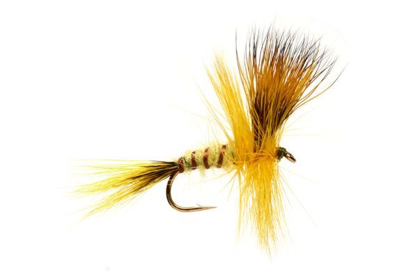 Top 8 New Dry Flies for 2025 from Fulling Mill (Outside of US ...