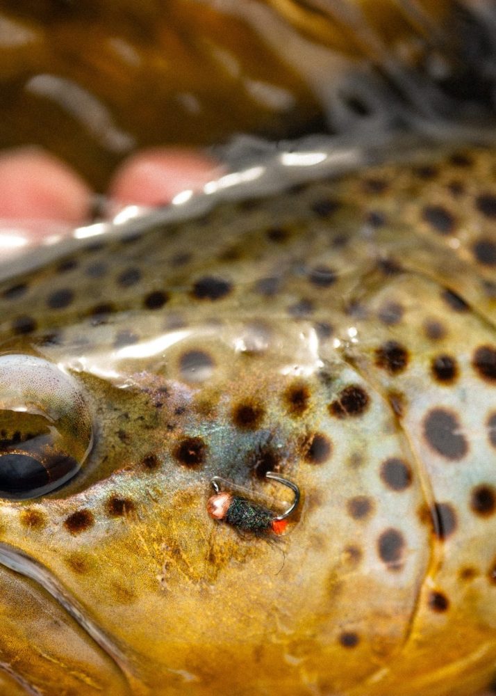 Nymphing for Trout: Essential Flies for Spring Fly Fishing - Fulling ...