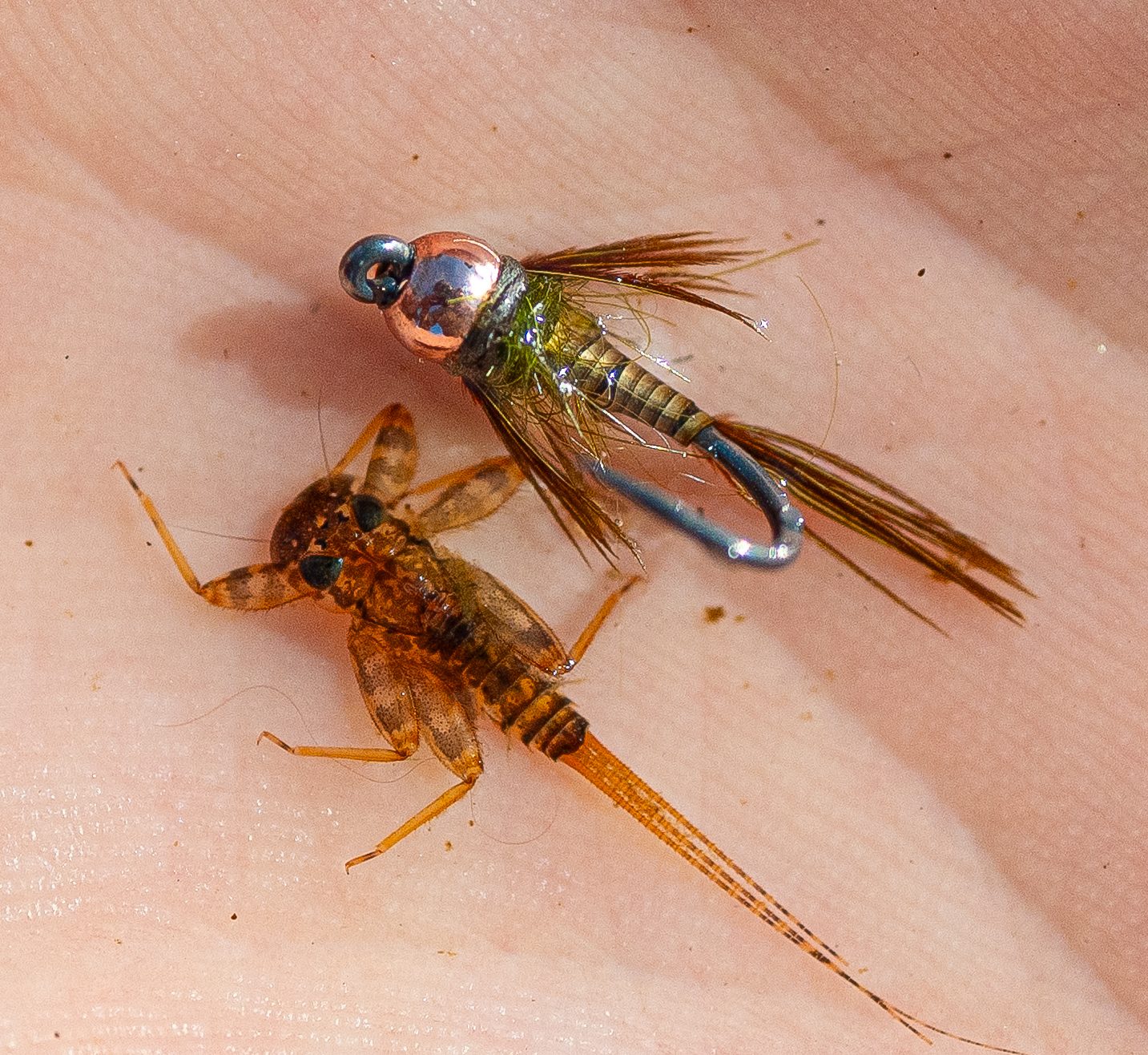 10 New Nymphs for 2026 from Fulling Mill USA - Fulling Mill Blog